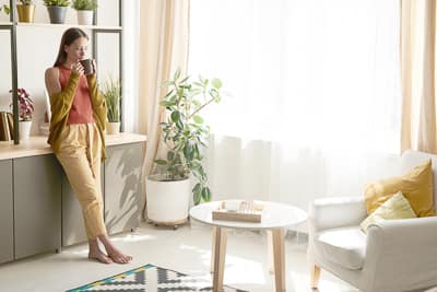 Fight Mold, Mildew and Musty Odors - Learning Center